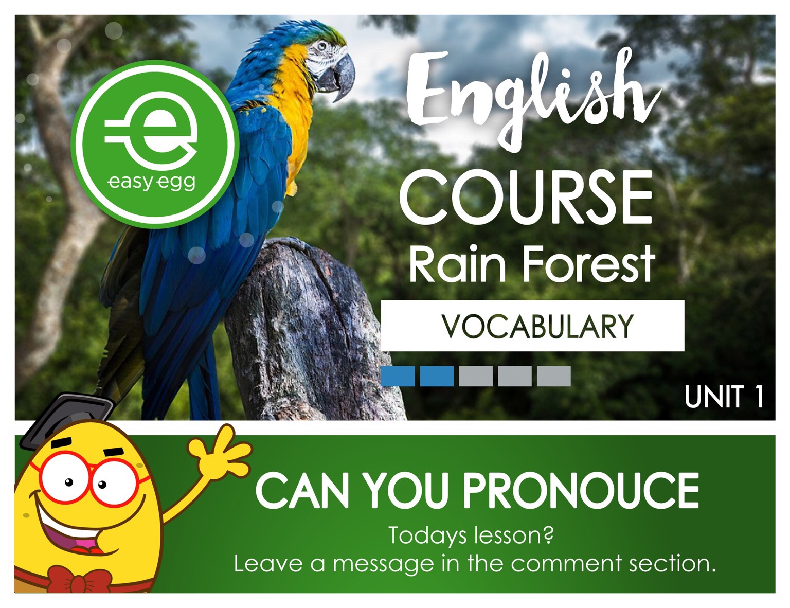 Easy Egg (ENGLISH) Course Rain Forest Unit 1 - Vocabulary Instructions ...
