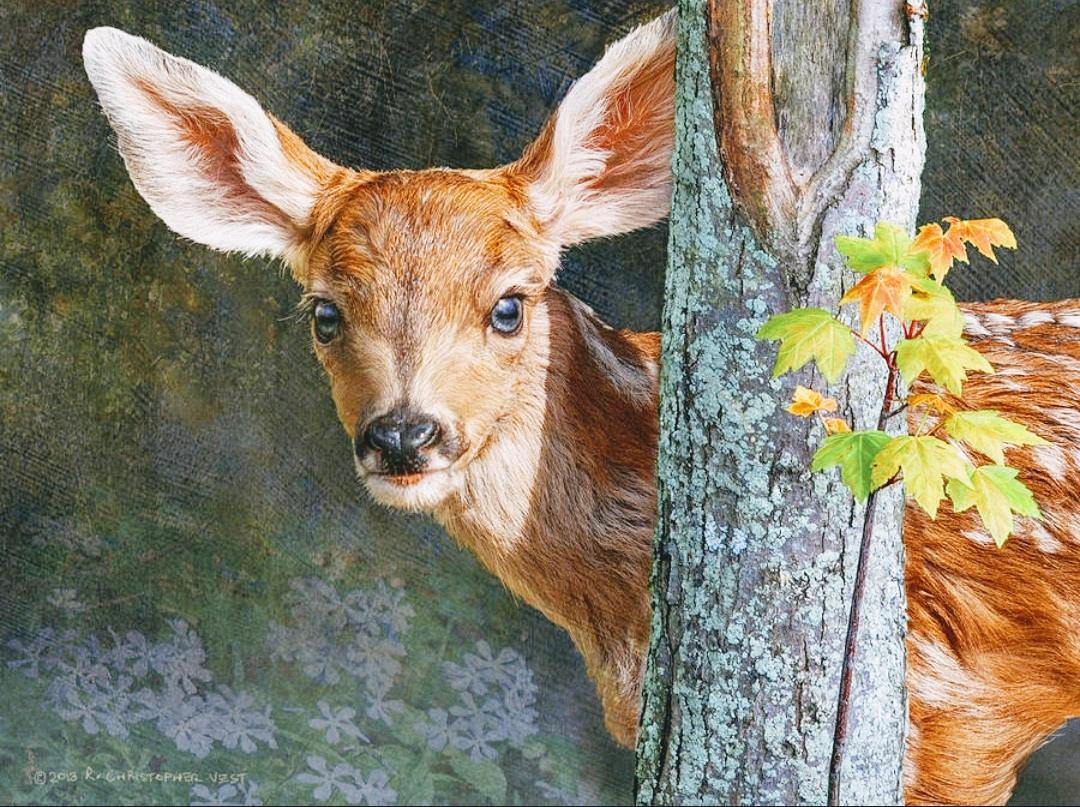 The Nymph Complaining for the Death of her Fawn by Andrew Marvell. Part ...