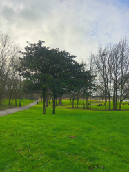 A brisk walk on a cold winter morning ..... so refreshing . I really ...