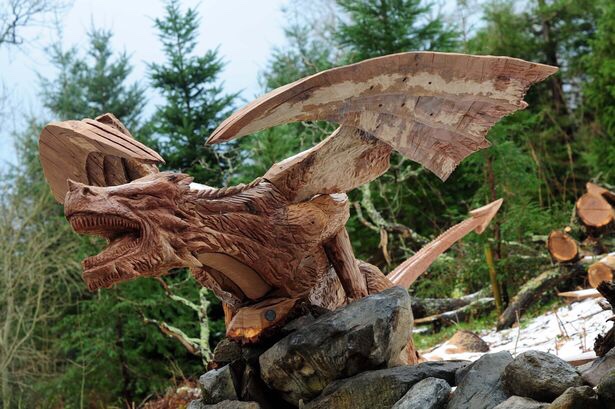 This is a crafted Dragon build from a tree log The dragon, which is ...