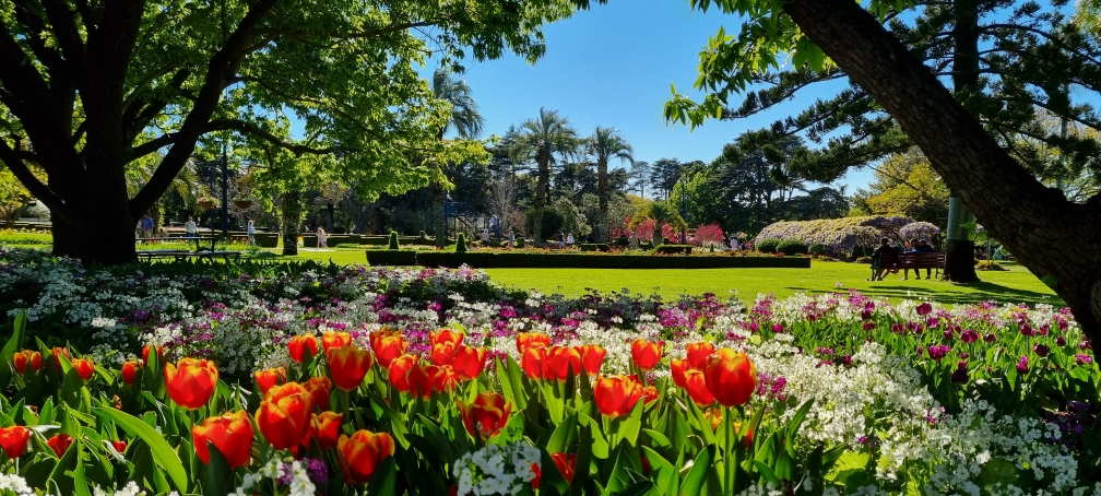 It's finally Spring in Australia. That means it's time for the ...