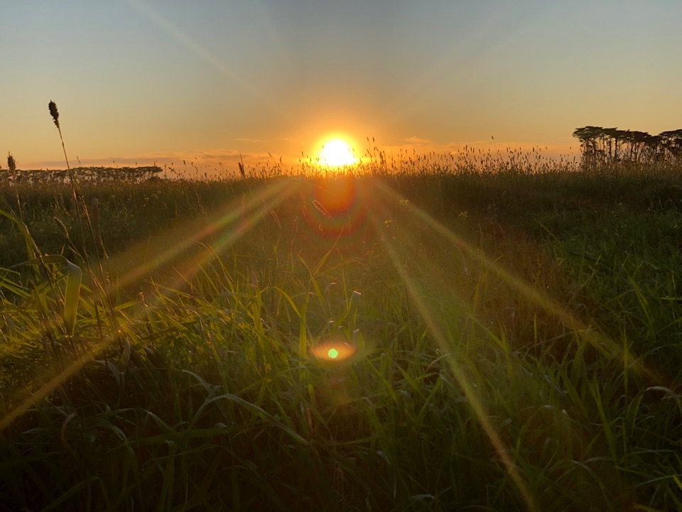 Good morning world. Happy Friday. I hope you all have an amazing day ☀️ ...