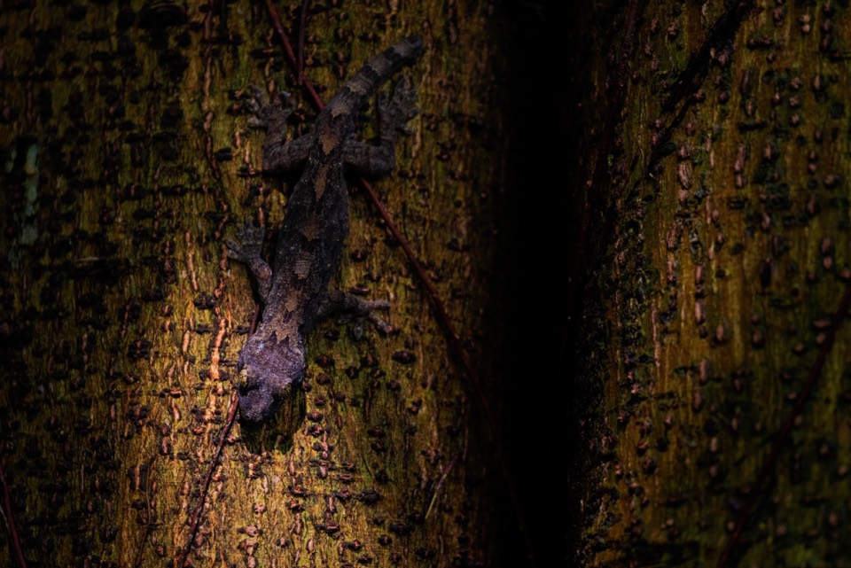 Spending time at OCT wetland park in Shenzhen. Great seeing the ...