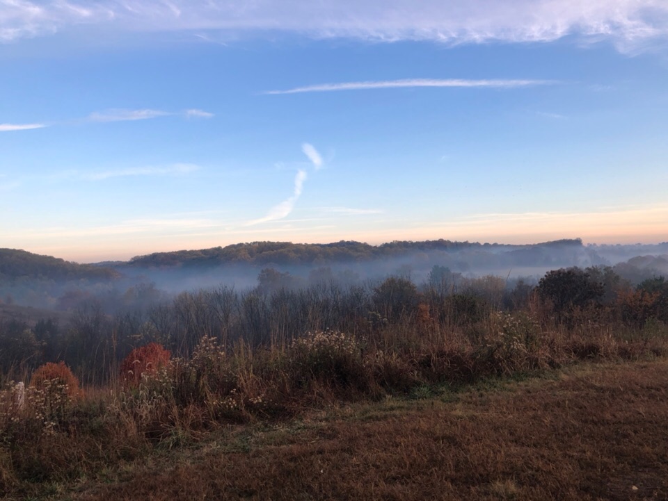 It is a beautiful morning here in Delaware. The sun is rising and there ...