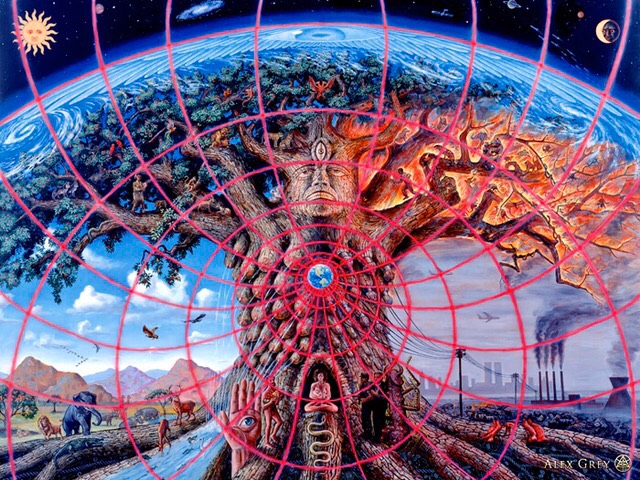 We are the food we eat. Earth provides us with everything. Love the ...