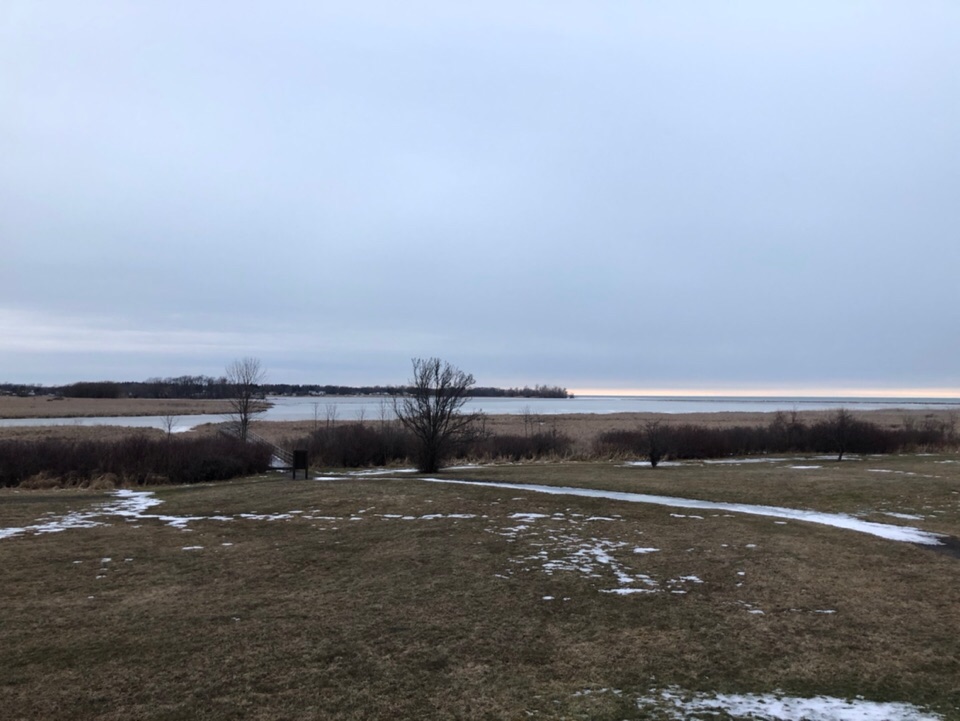 March 2nd at the Braddock Bay Hawk Watch in Rochester, New York. Today ...