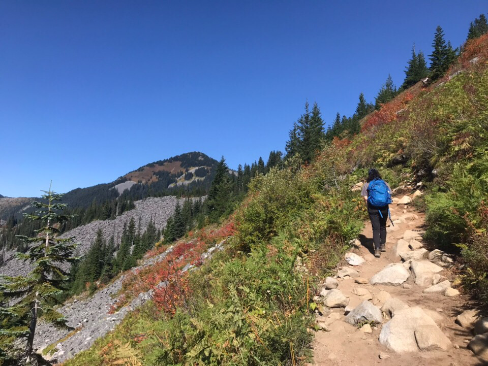 またハイキングした〜🌱 ワシントンの「ira spring trail」に行った！最近は秋の色が出てきたよ🍁 上に小さな湖があるけど、泳げ ...