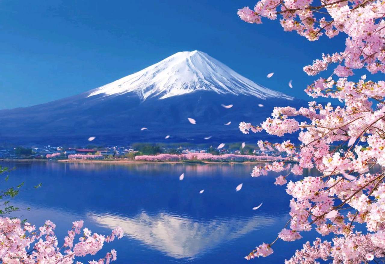 I m Here To Be Fluent In Japanese And More About Japanese Culture i-m-here-to-be-fluent-in-japanese-and-more-about-japanese-culture