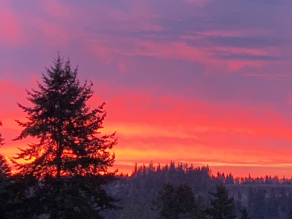 Another amazing sunrise. I think sunrise and sunsets are the most ...